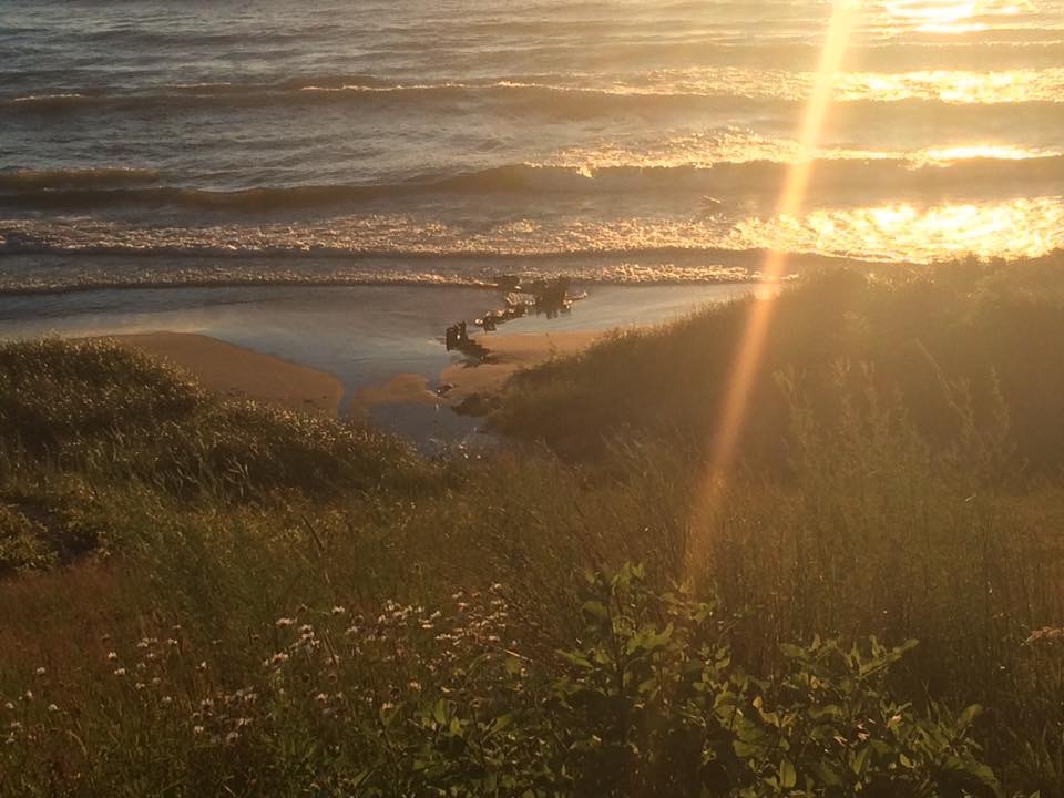 TGIF – Patches of Light, Pieces of Grace